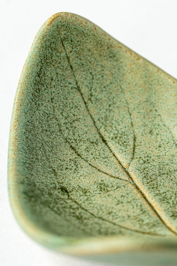 Fiachra Crowley Ceramic Leaf dish - Adare Manor